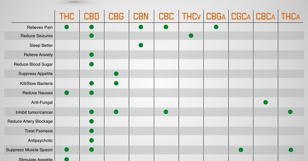 Marijuana Cannabinoids Chart